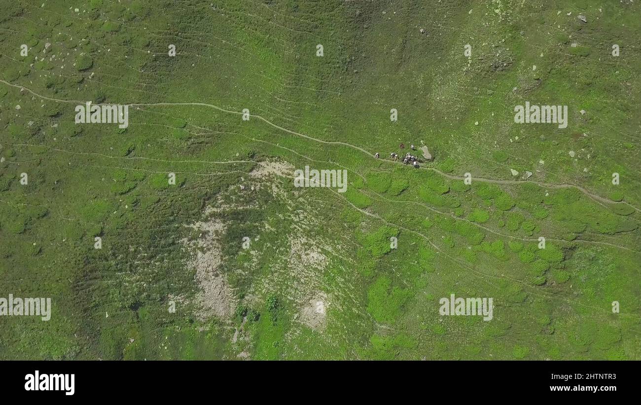 Top view of people relaxing on mountain path with green grass. Clip ...