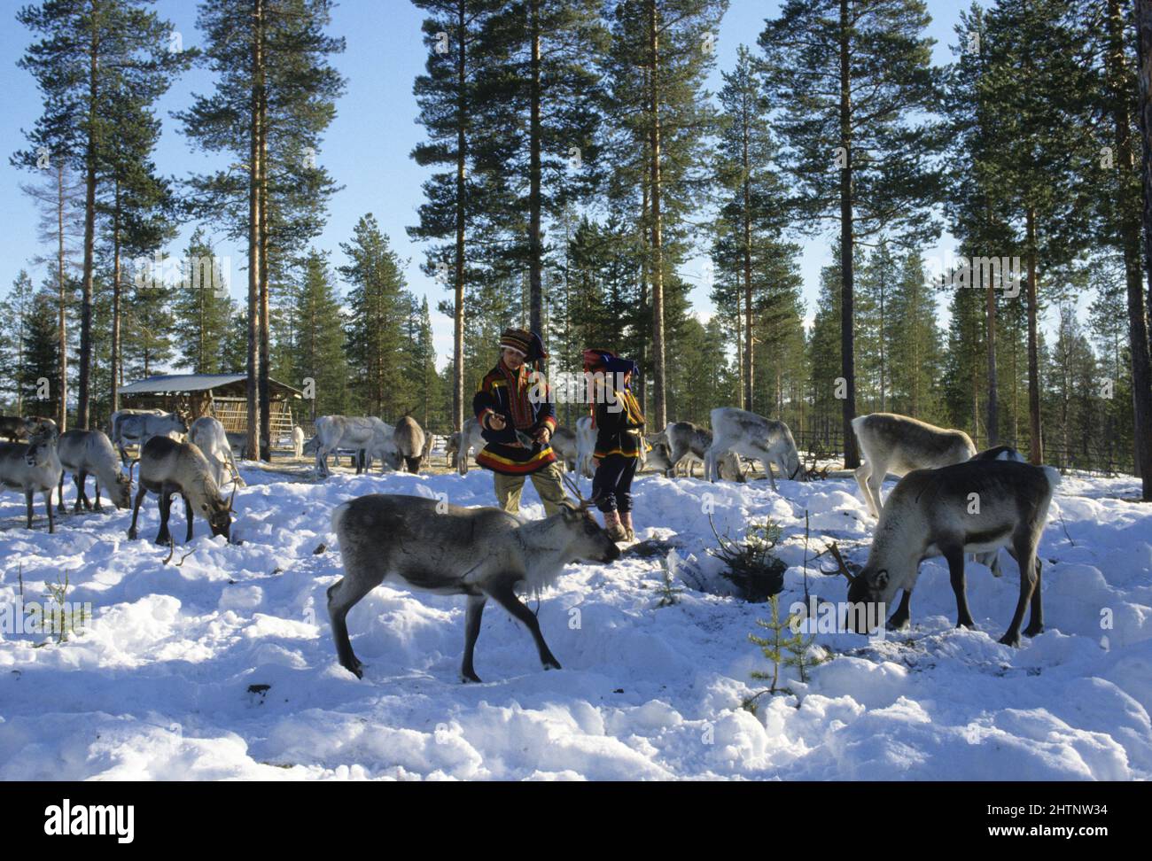 Laponie hi-res stock photography and images - Alamy