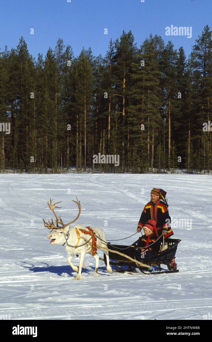 Laplander hi-res stock photography and images - Alamy