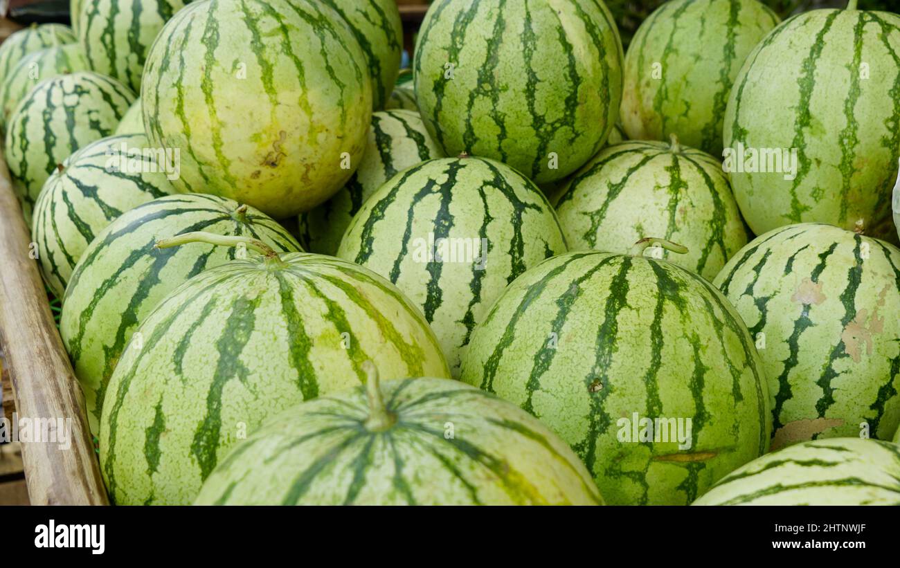 Pakwan hi-res stock photography and images - Alamy