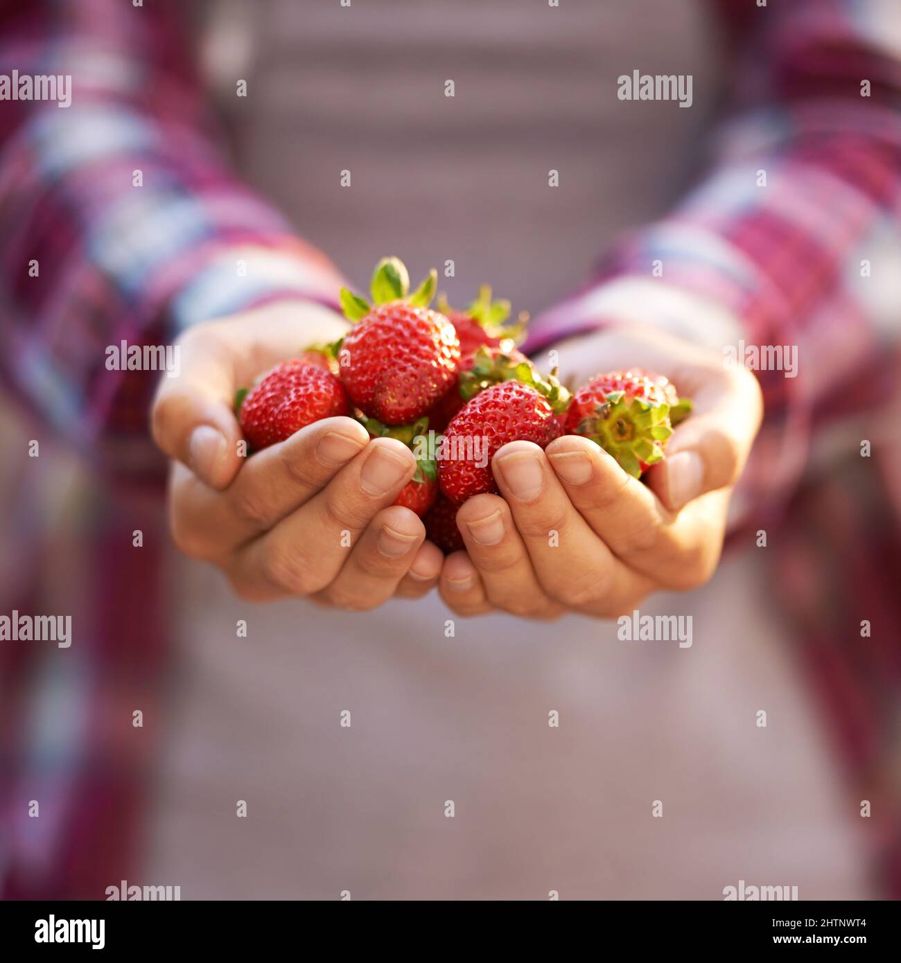 Handful fruit hi-res stock photography and images - Alamy