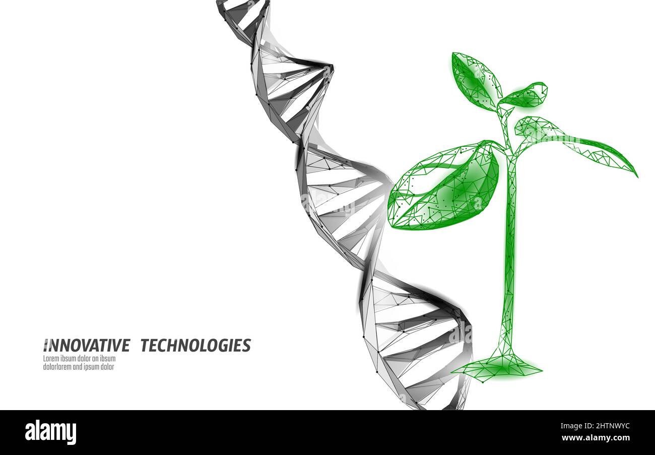Plant sprout biotechnology abstract concept. 3D render seedling tree ...