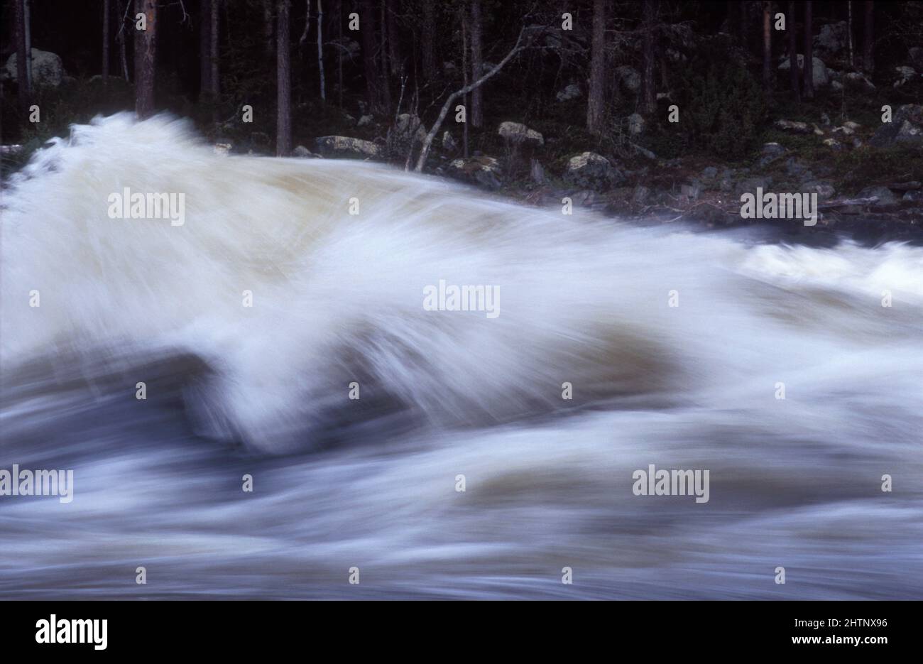 Wild river rapids in the country in 2005, analog. Fast, strong, and ...