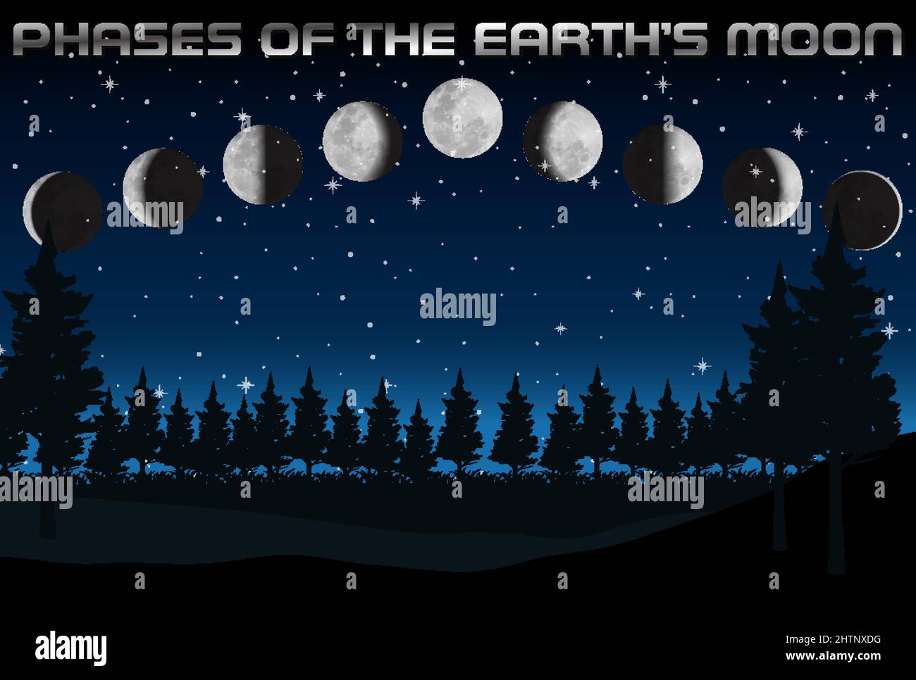 Phases of the moon for science education illustration Stock Vector ...
