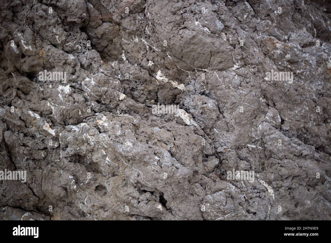 beautiful unusual texture of stone rock. great background for design ...