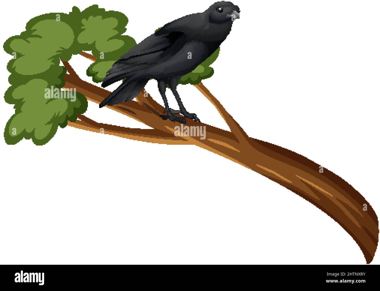 Crow Standing On Tree Branch Illustration Stock Vector Image And Art Alamy
