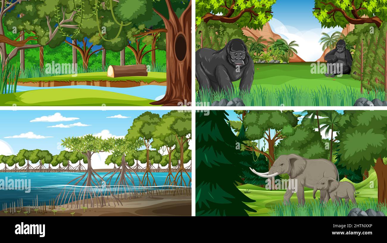 Four scenes with wild animals in forest illustration Stock Vector Image ...