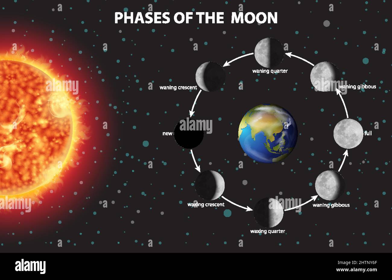 Solar system for science education illustration Stock Vector Image ...