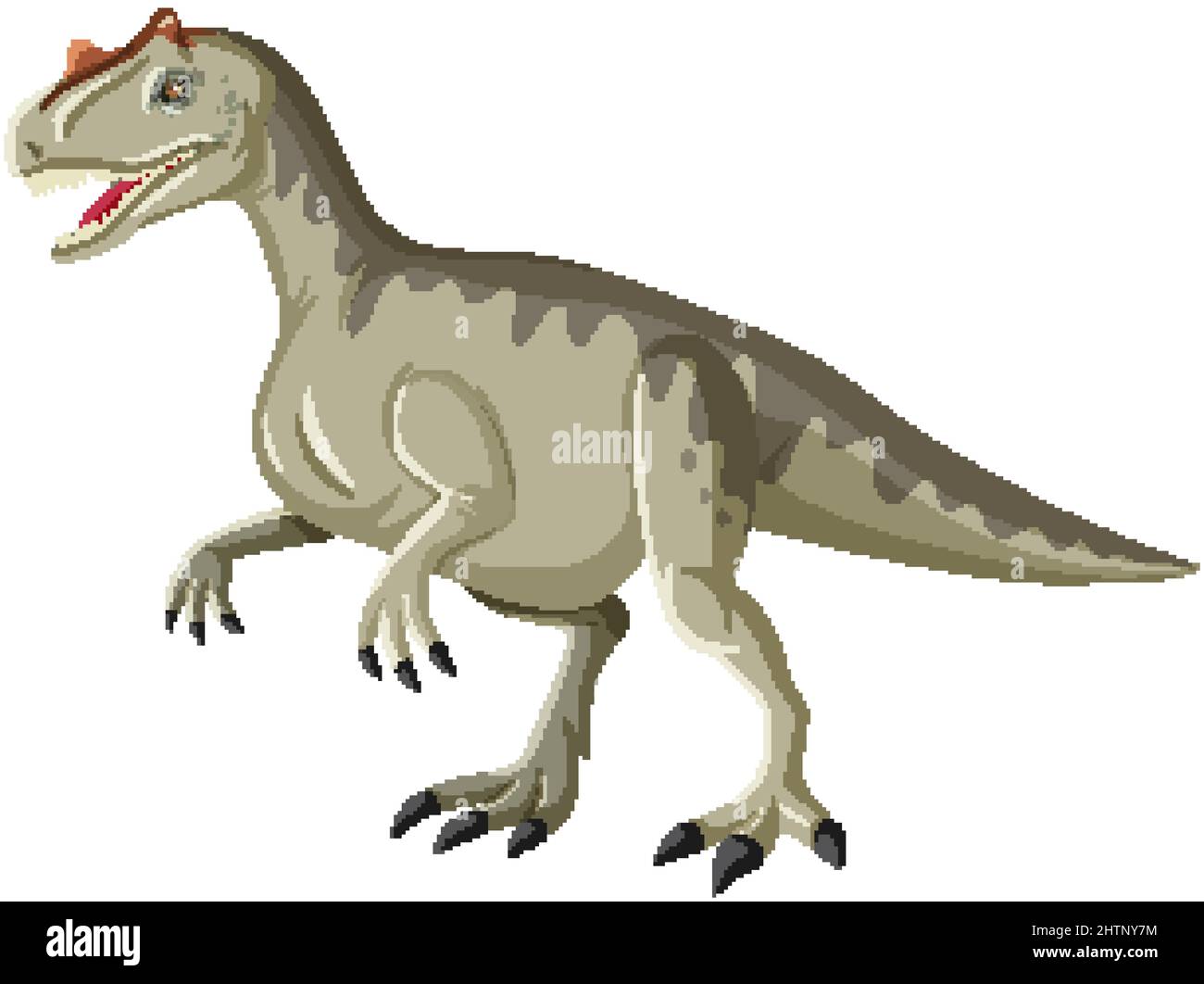 Allosaurus dinosaur on white background Stock Vector Images - Alamy