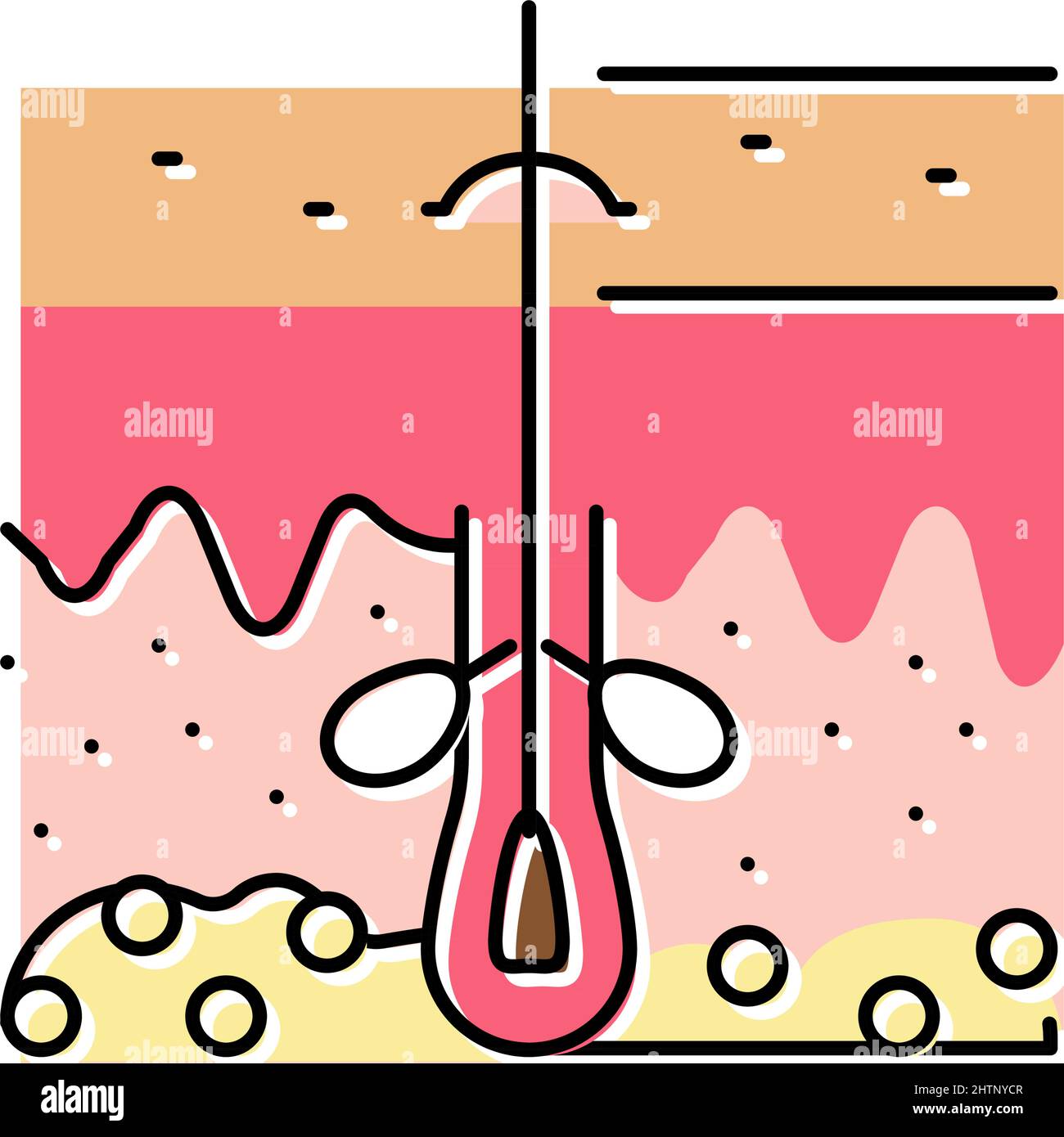 sebum skin production color icon vector illustration Stock Vector Image ...
