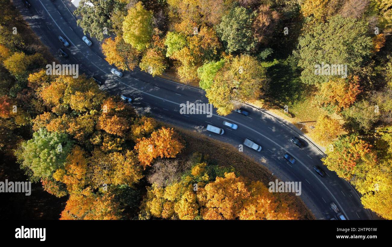 Aerial view of the highway surrounded by trees Stock Photo - Alamy