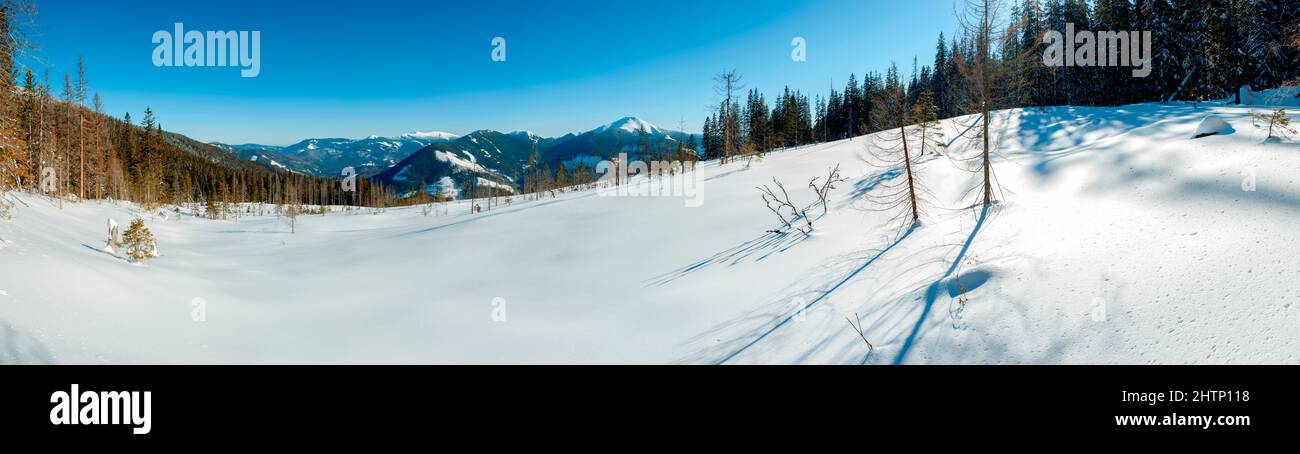 panorama of colorful winter landscape in mountains. Snowy background ...