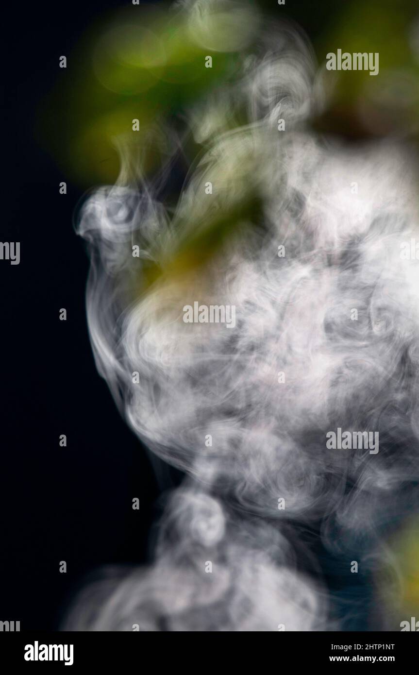 Smoke from burning leaves Stock Photo - Alamy