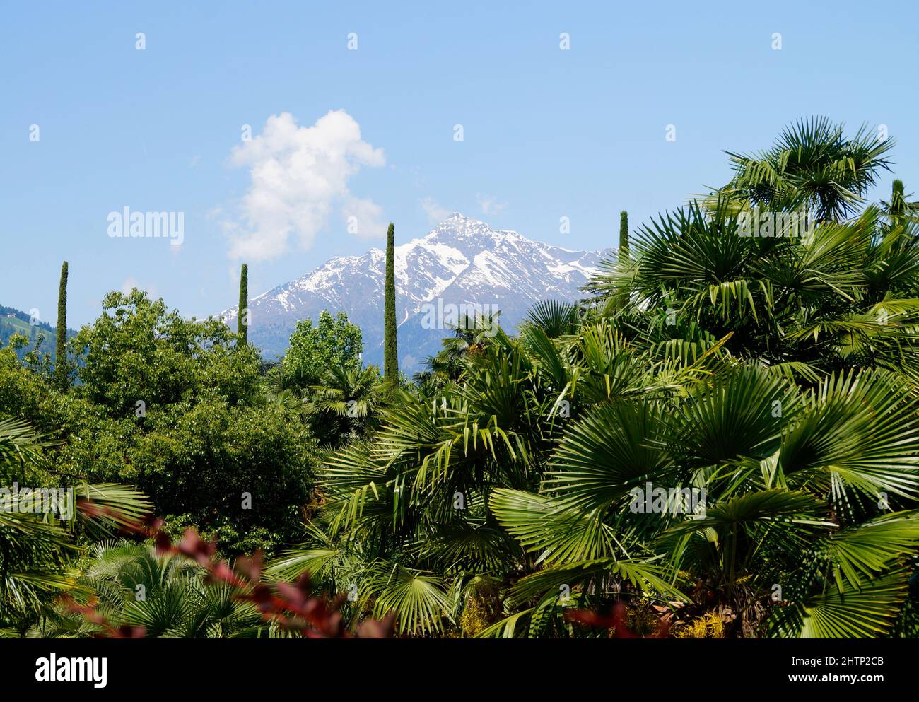 Meranos gardens of trauttmansdorff castle hi-res stock photography and ...