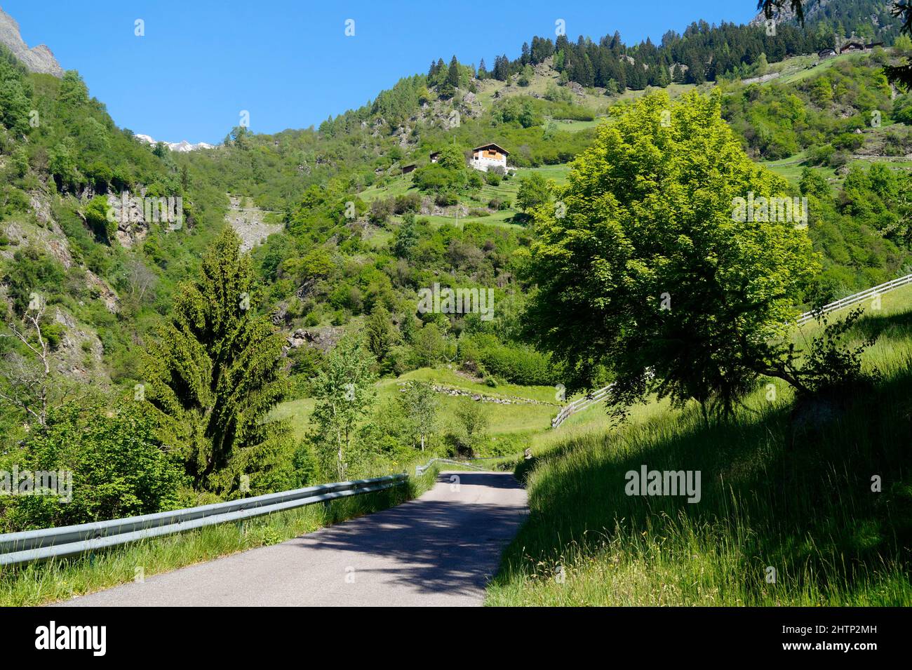 a hiking trail in the breathtaking Italian Alps of the Partschins ...