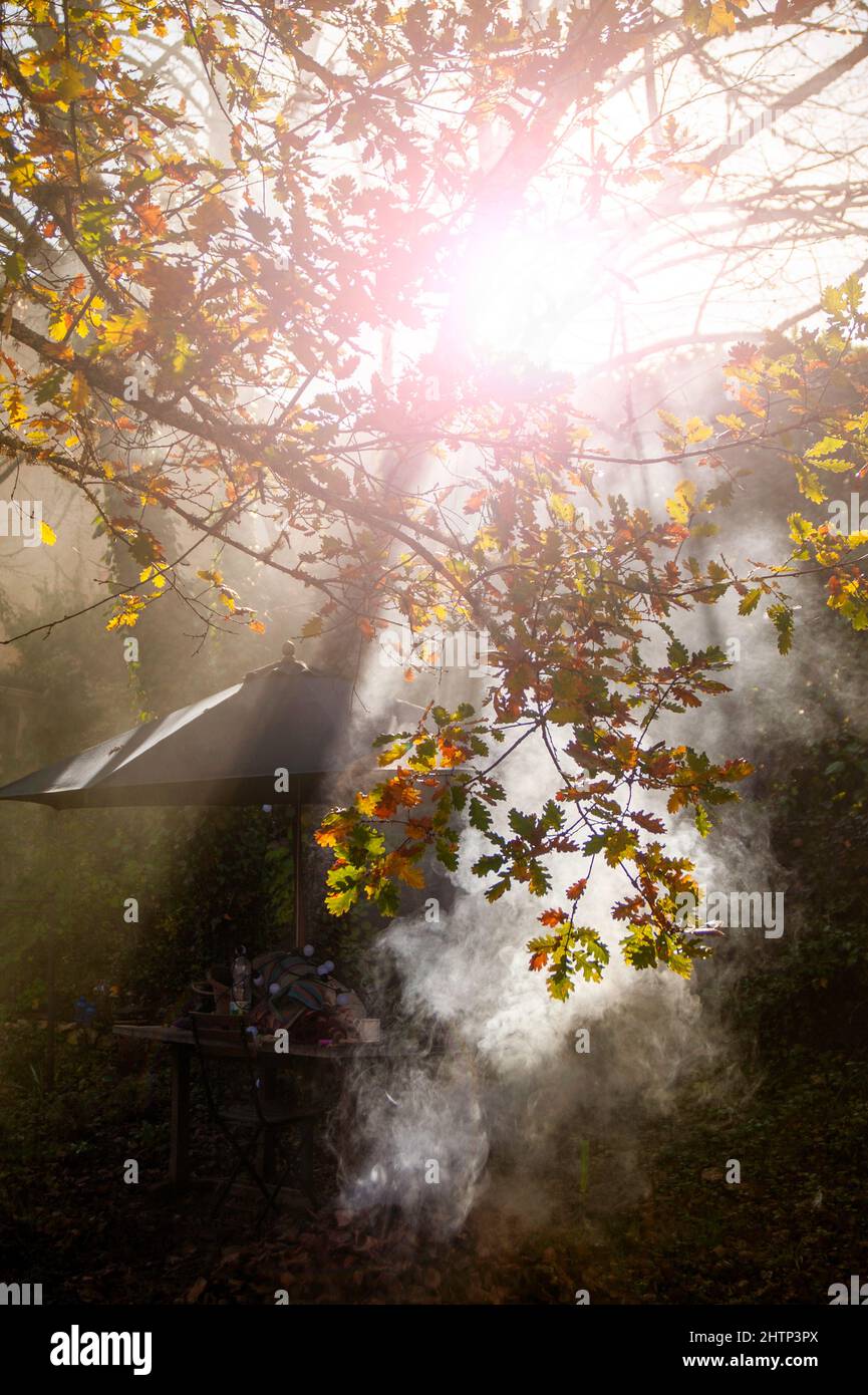 Streaming leaves hi-res stock photography and images - Alamy