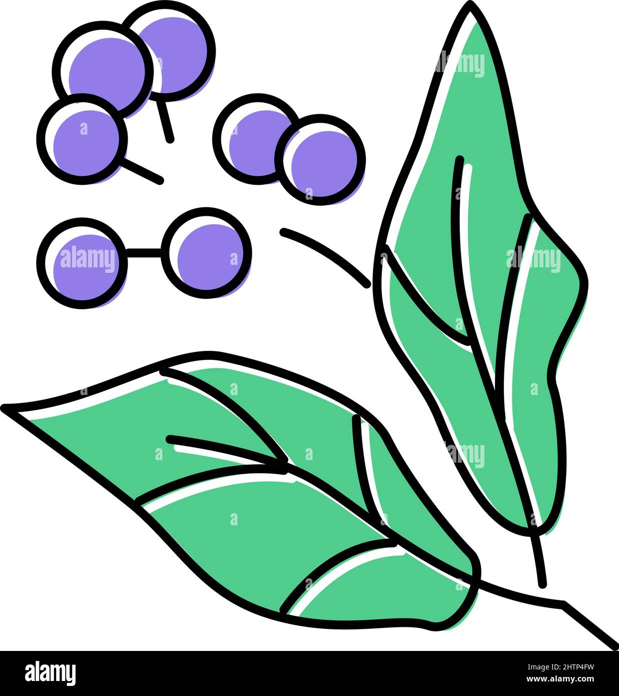 camphor aromatherapy color icon vector isolated illustration Stock ...