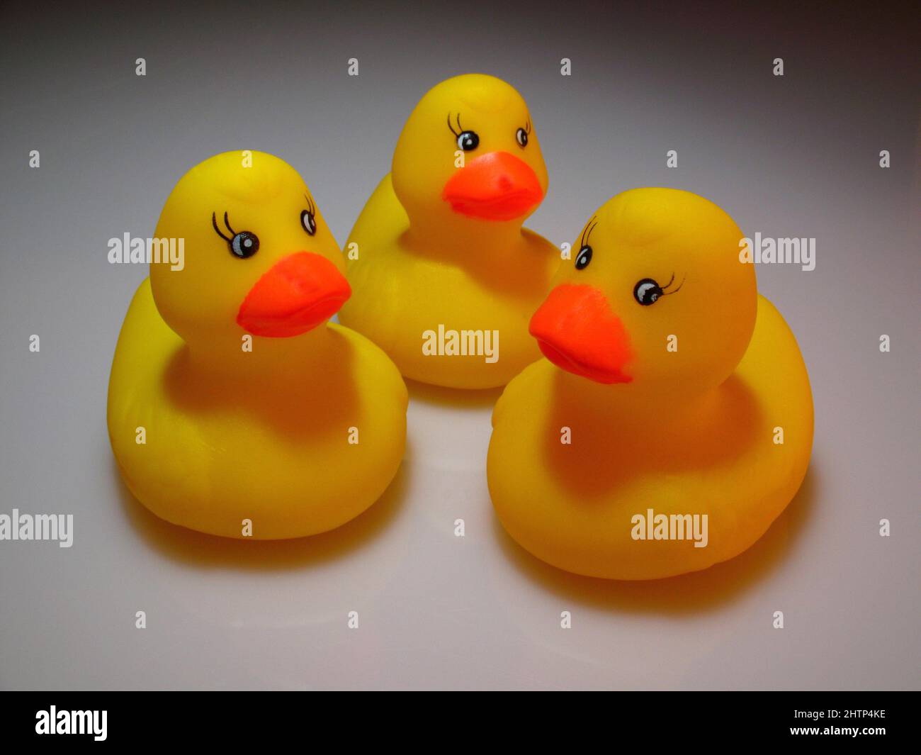 Studio shot of rubber ducks as a symbol of youth, childhood, humor ...