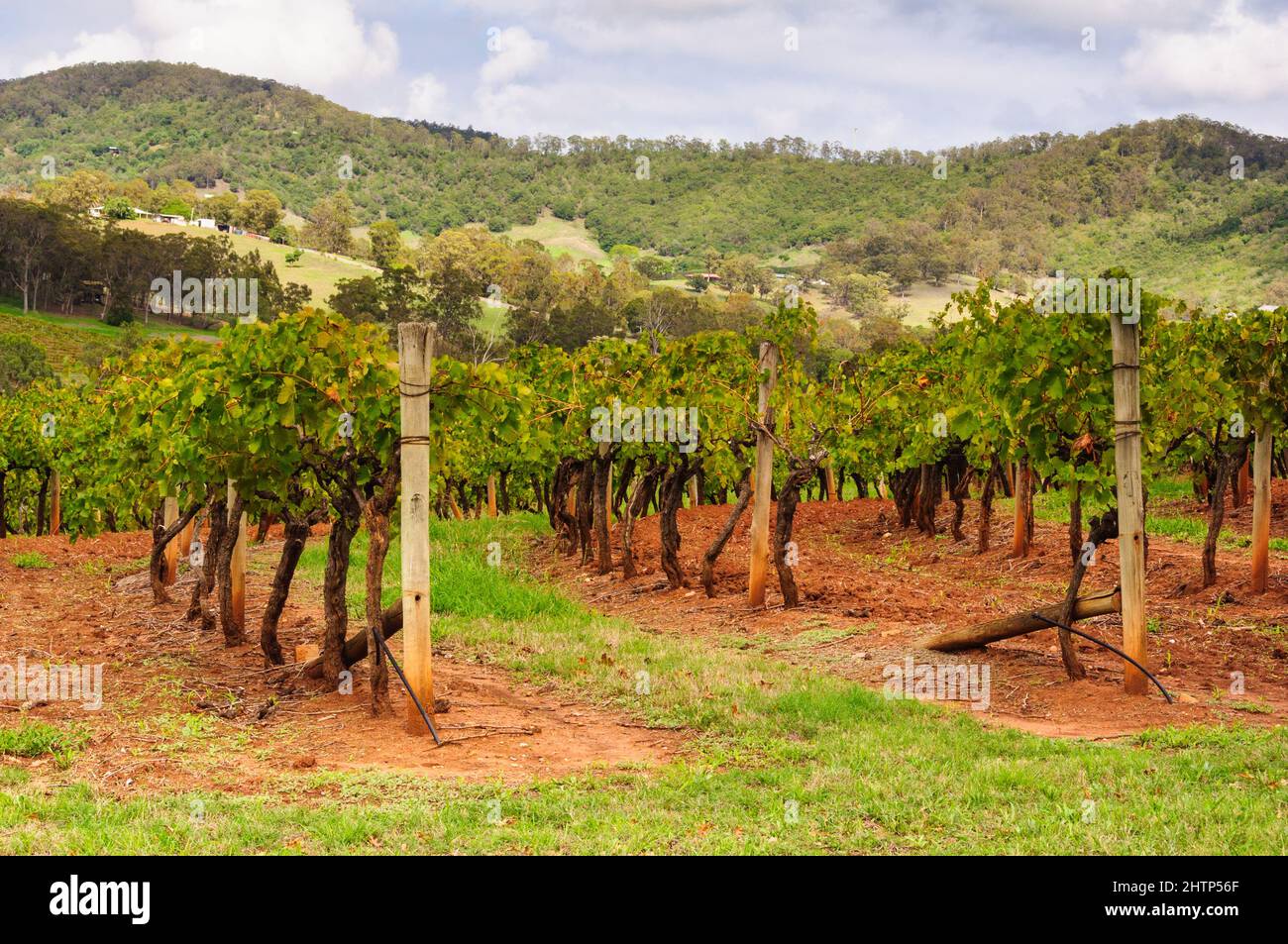 Cessnock hi-res stock photography and images - Alamy