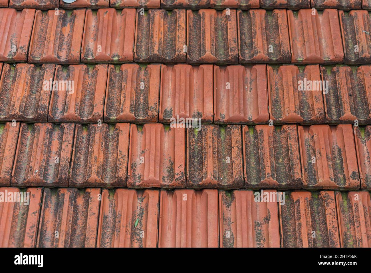 Close-up red tile roof. Pattern of roof texture and background Stock ...