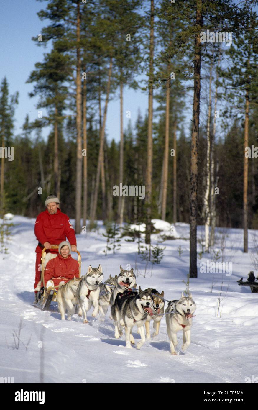 Greeder hi-res stock photography and images - Alamy