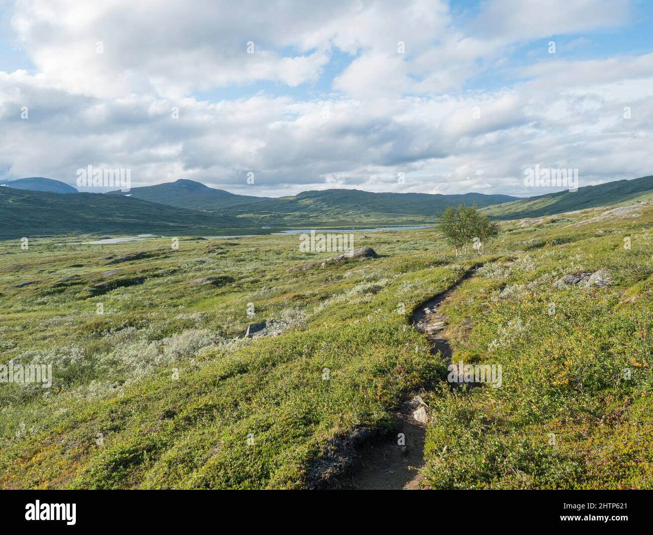 Footpath in northern artic landscape, tundra in Swedish Lapland with ...