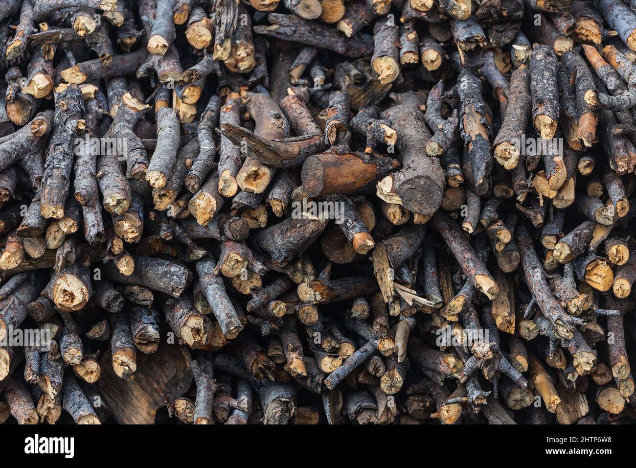 close-up sawn tree into small pieces. Background from sawn pieces of ...
