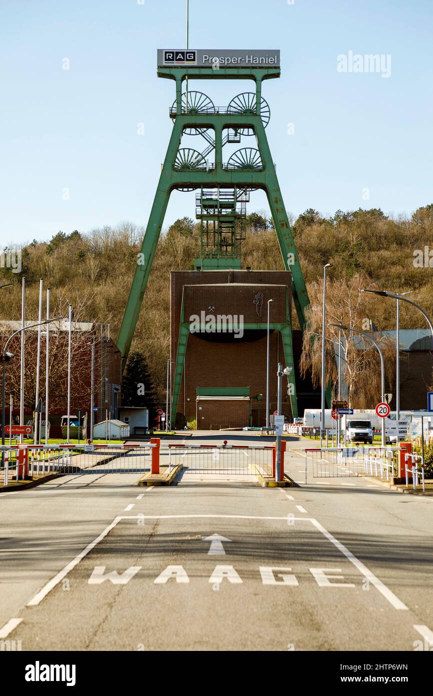 RAG Prosper Haniel colliery in Bottrop, Franz Haniel mine Stock Photo ...
