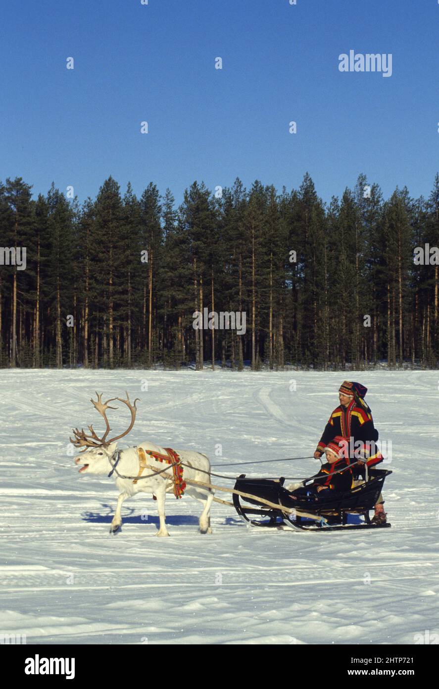 finland lapland raindeer greeder Stock Photo - Alamy