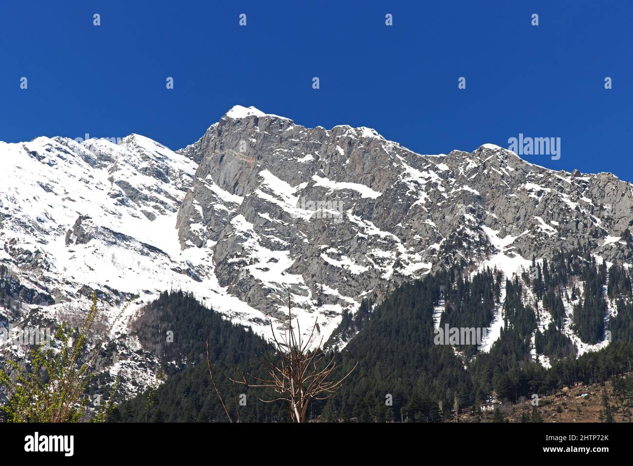 Nature in Swat valley of Himalayas, Pakistan Stock Photo - Alamy