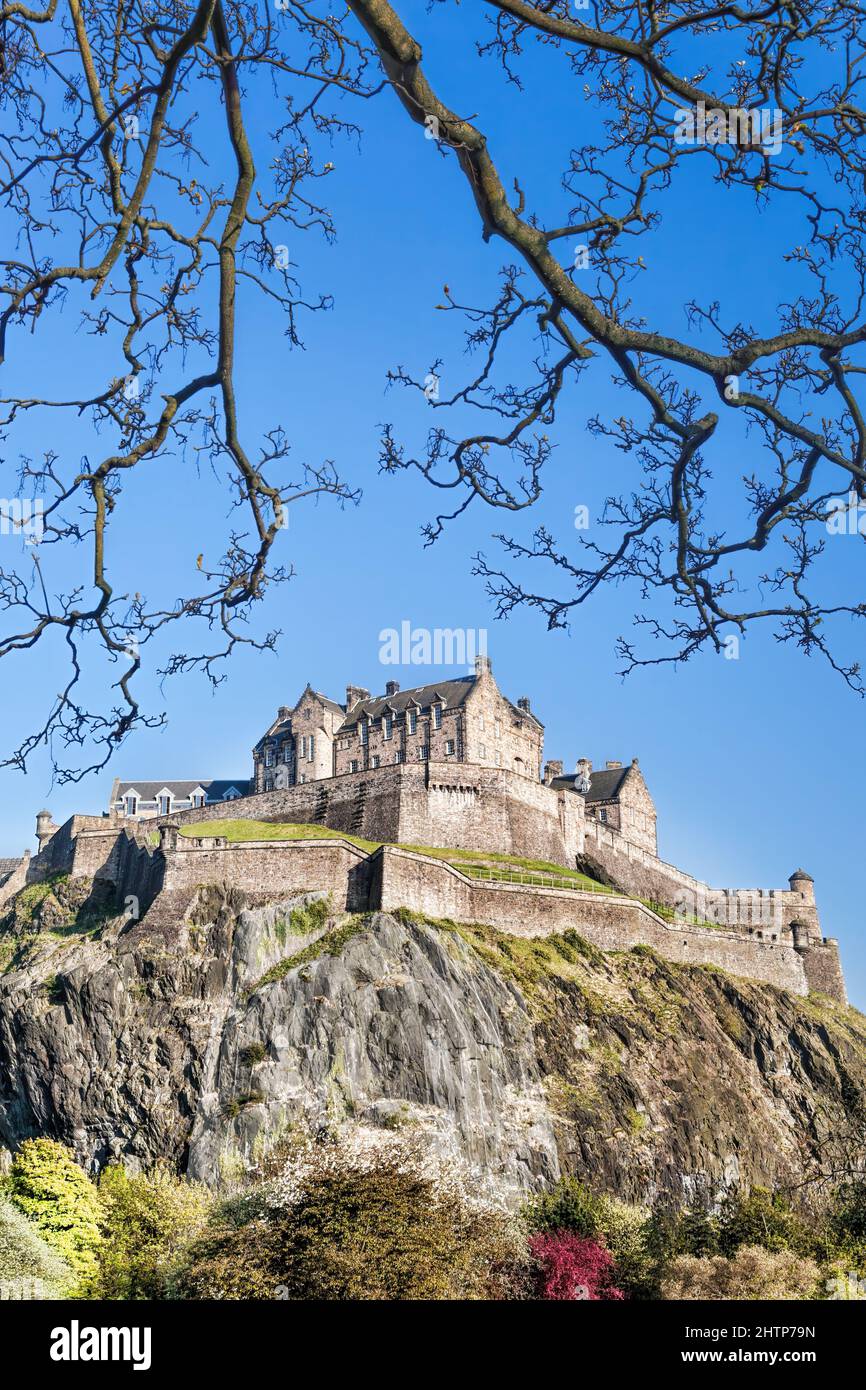 Edinburgh castle with spring tree in Scotland Stock Photo - Alamy