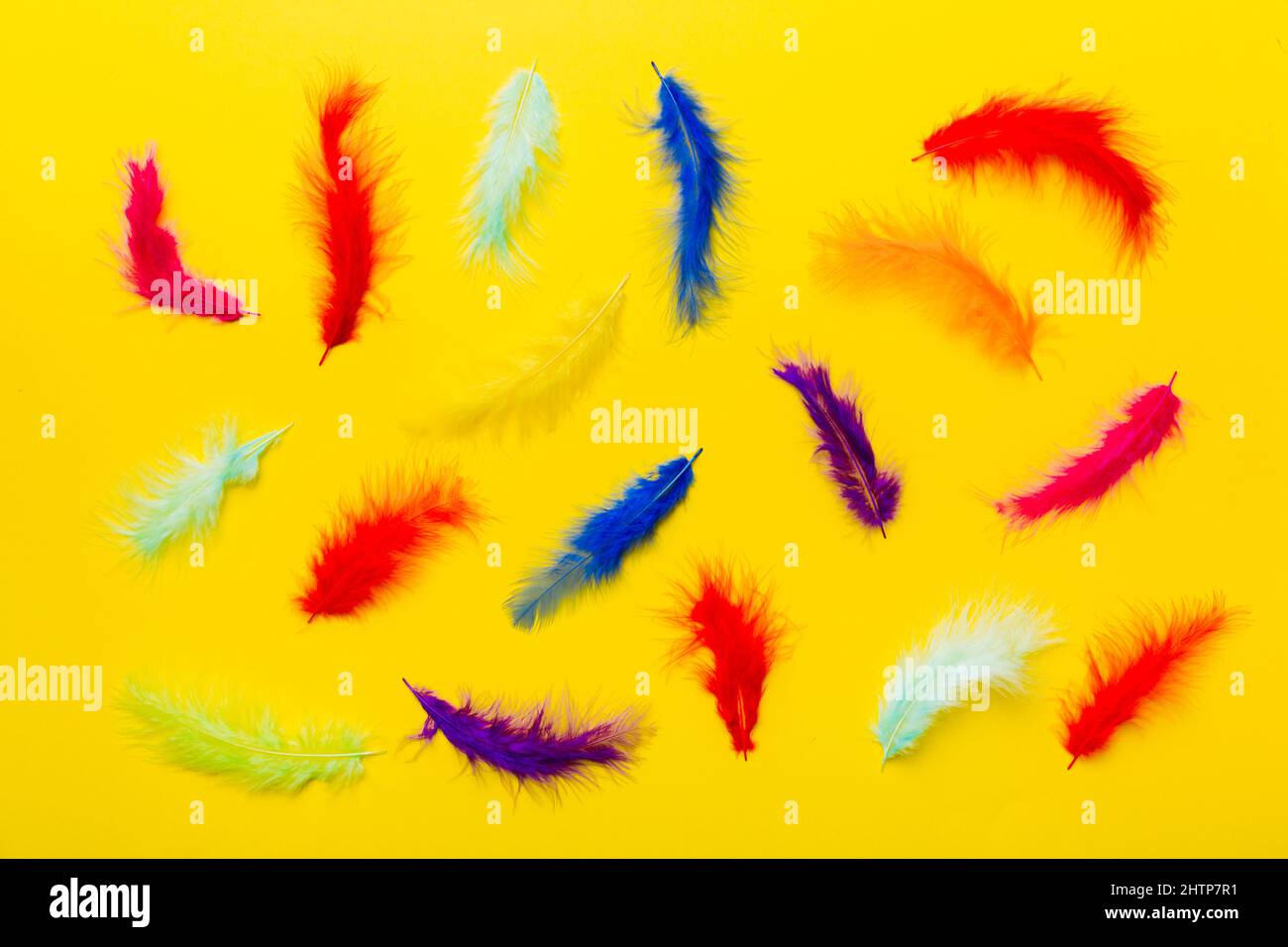 Light colored tail feathers hi-res stock photography and images - Alamy