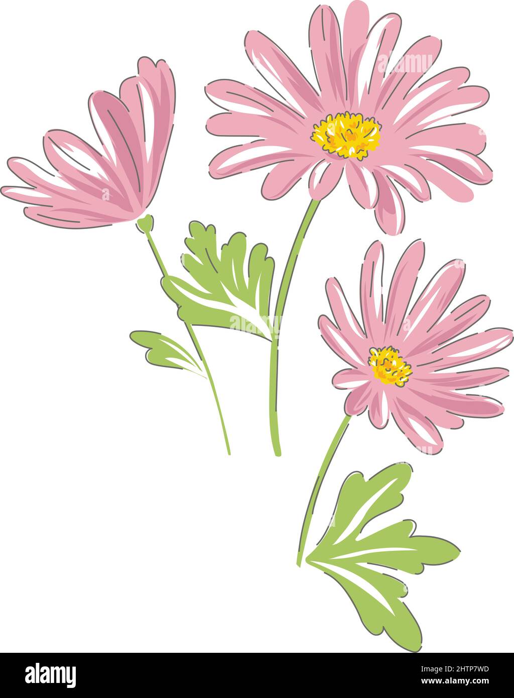 Spring Illustration Vintage