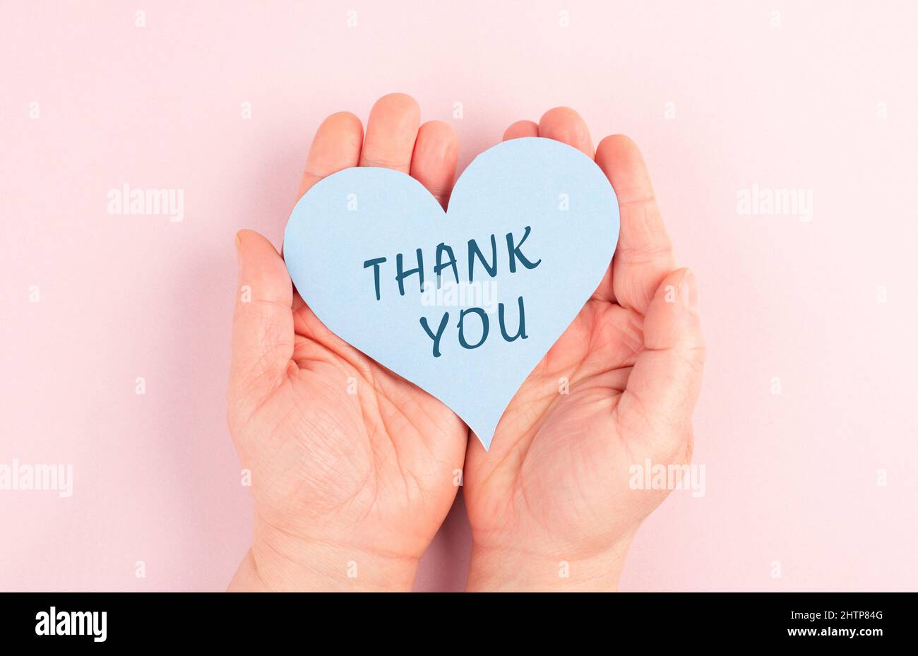 Holding a heart with the words thank you in the hands, pink colored ...