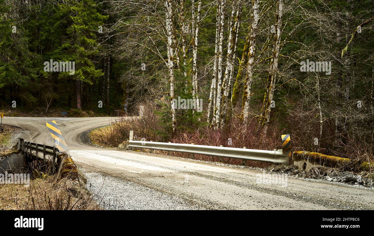 A bridge on a remote logging road in the springtime Stock Photo - Alamy