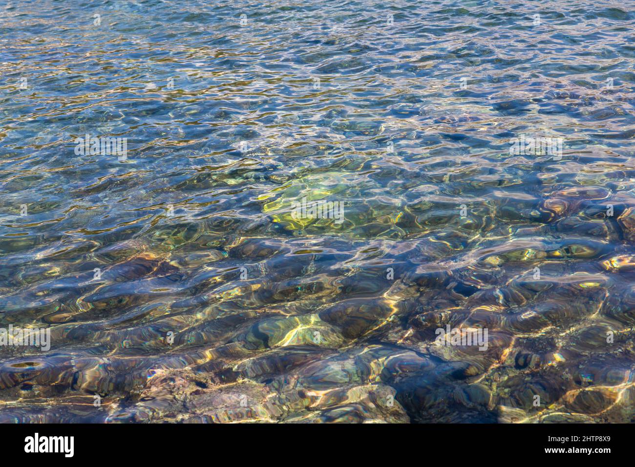 Shallow Water Ocean