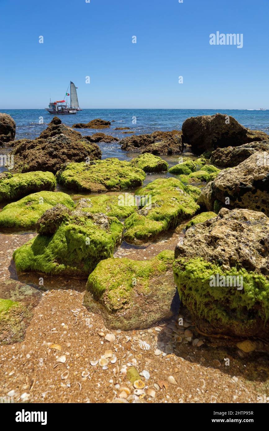 Beautiful view of rocks covered in moss on the seacoast Stock Photo - Alamy