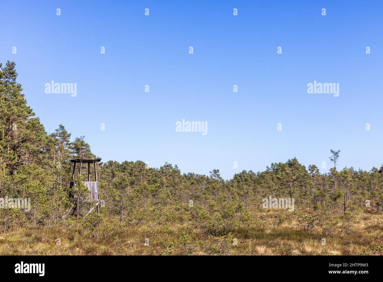 Hunting tower on a raised bog Stock Photo - Alamy