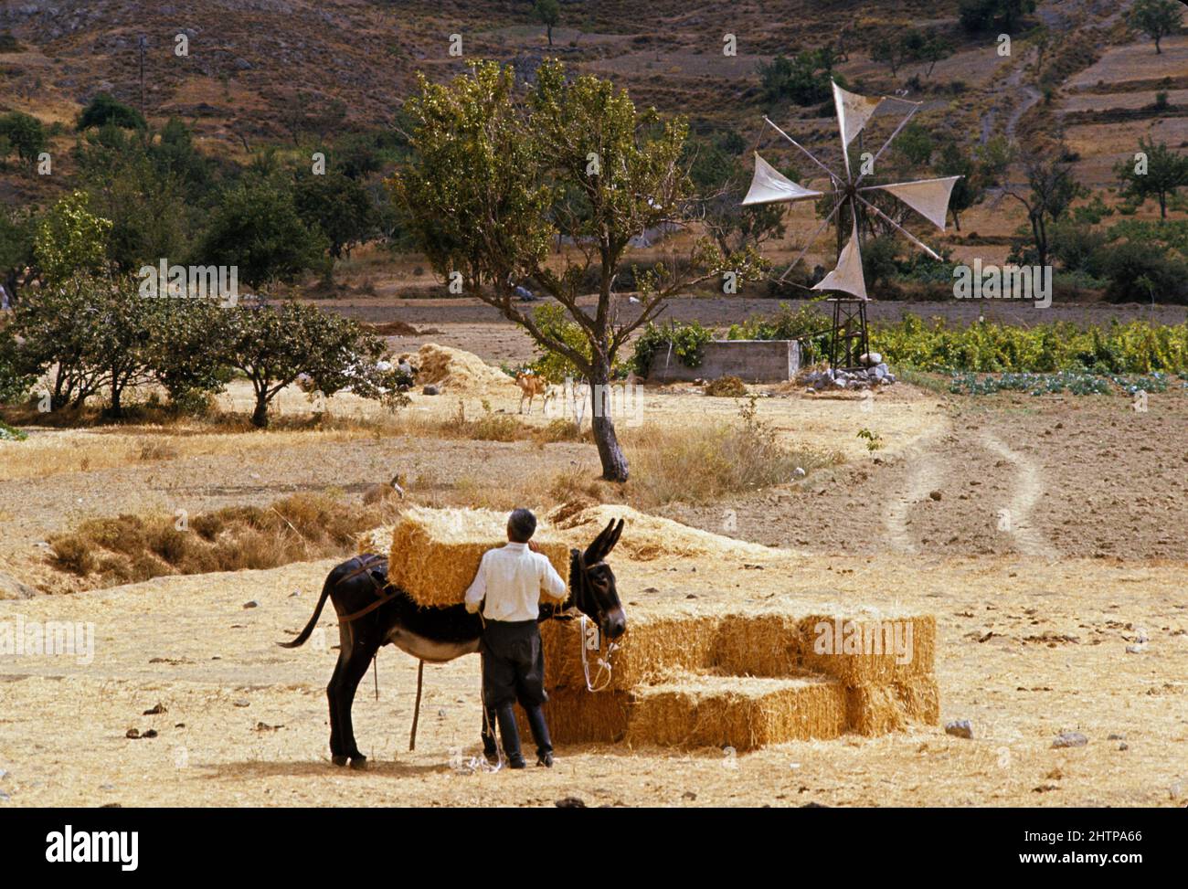 Greece wheat hi-res stock photography and images - Alamy