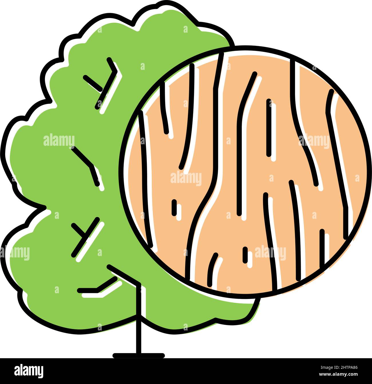ash wood color icon vector illustration Stock Vector Image & Art - Alamy