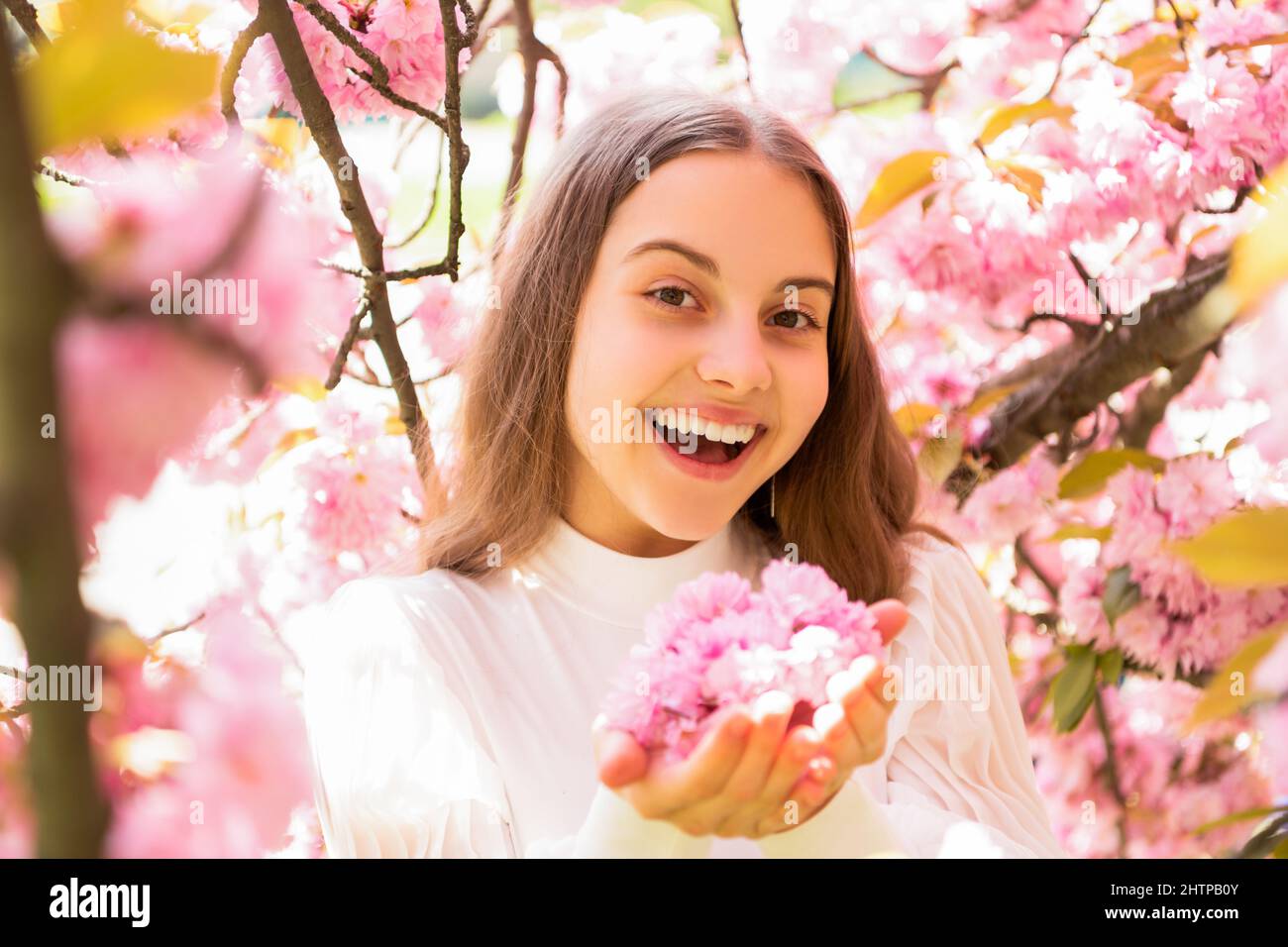 laughing kid at sakura flower bloom in spring Stock Photo - Alamy