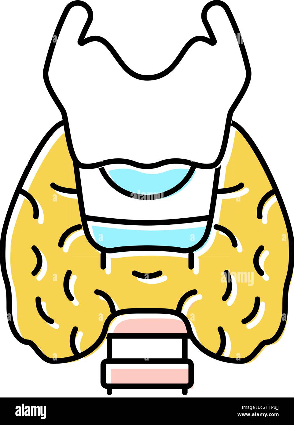 thyroid human organ color icon vector illustration Stock Vector Image ...