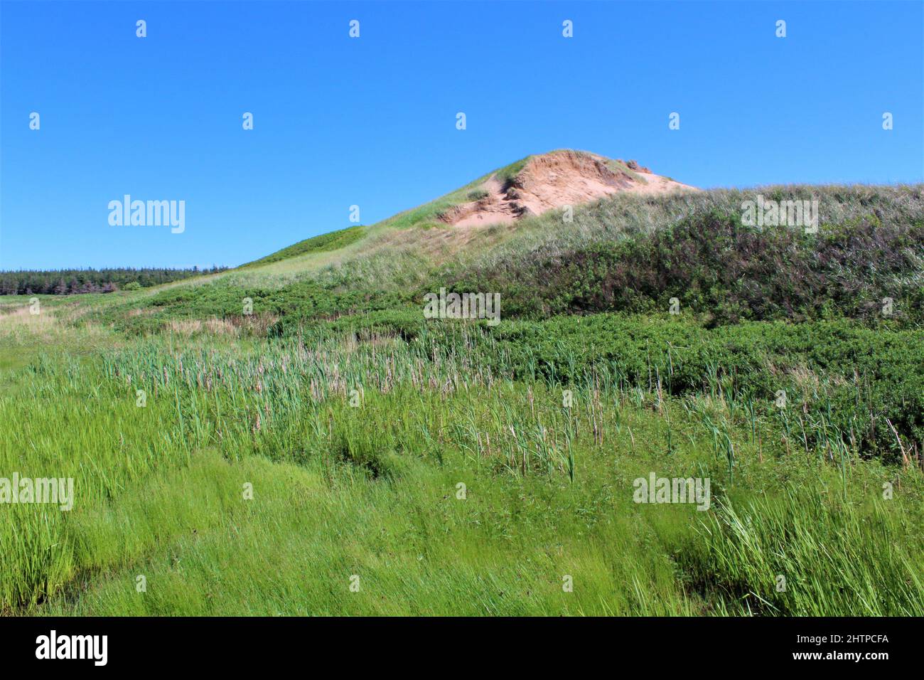 Prince edward island national park hi-res stock photography and images ...