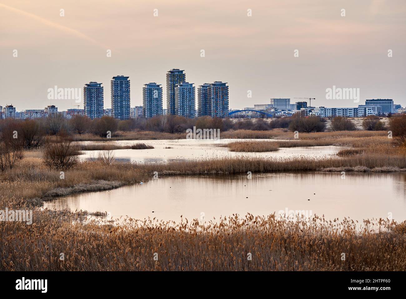 Apartment block complex with modern buildings Stock Photo - Alamy