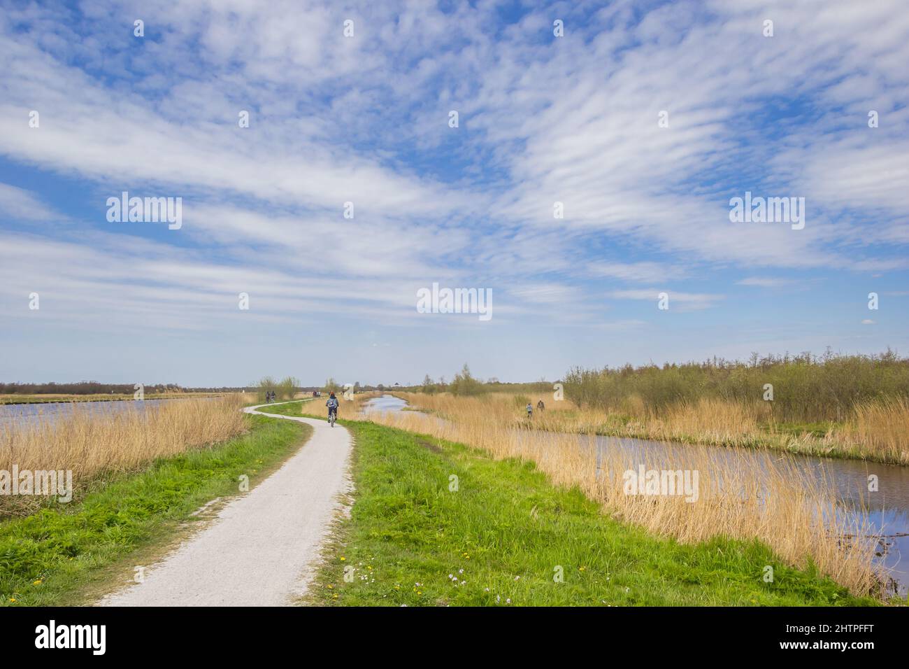 Bicycle path at the water in the nature reserve of Alde Feanen in ...