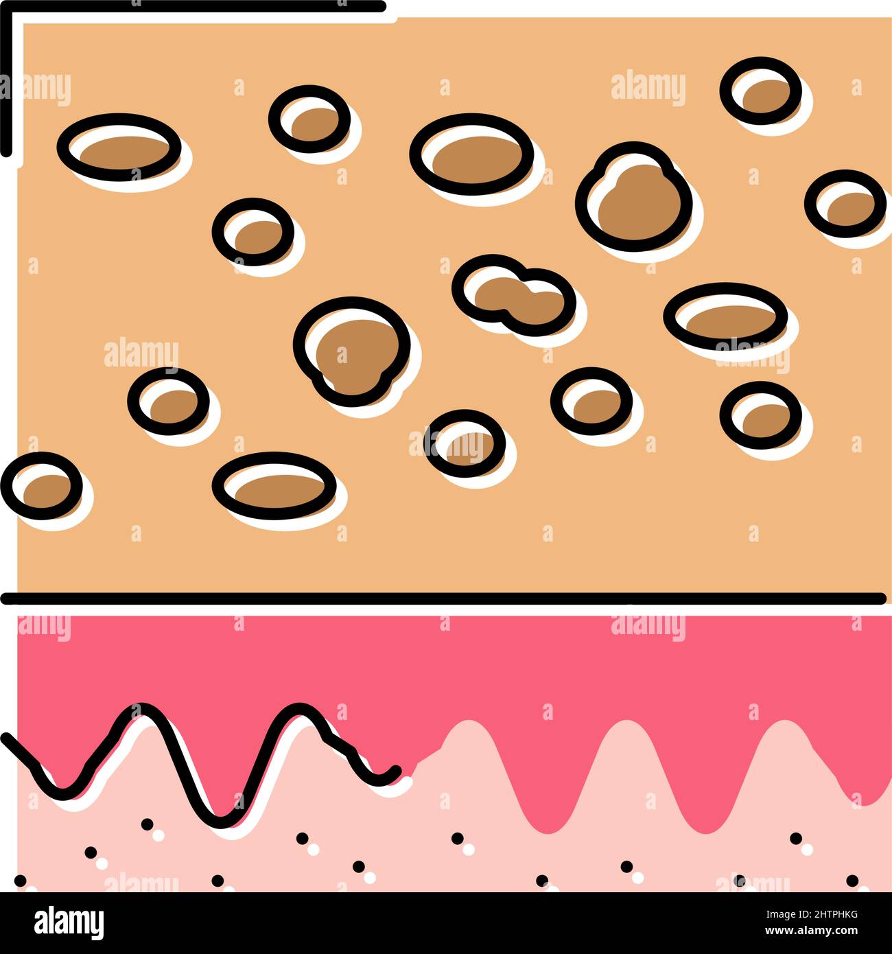 freckles skin color icon vector illustration Stock Vector Image & Art ...
