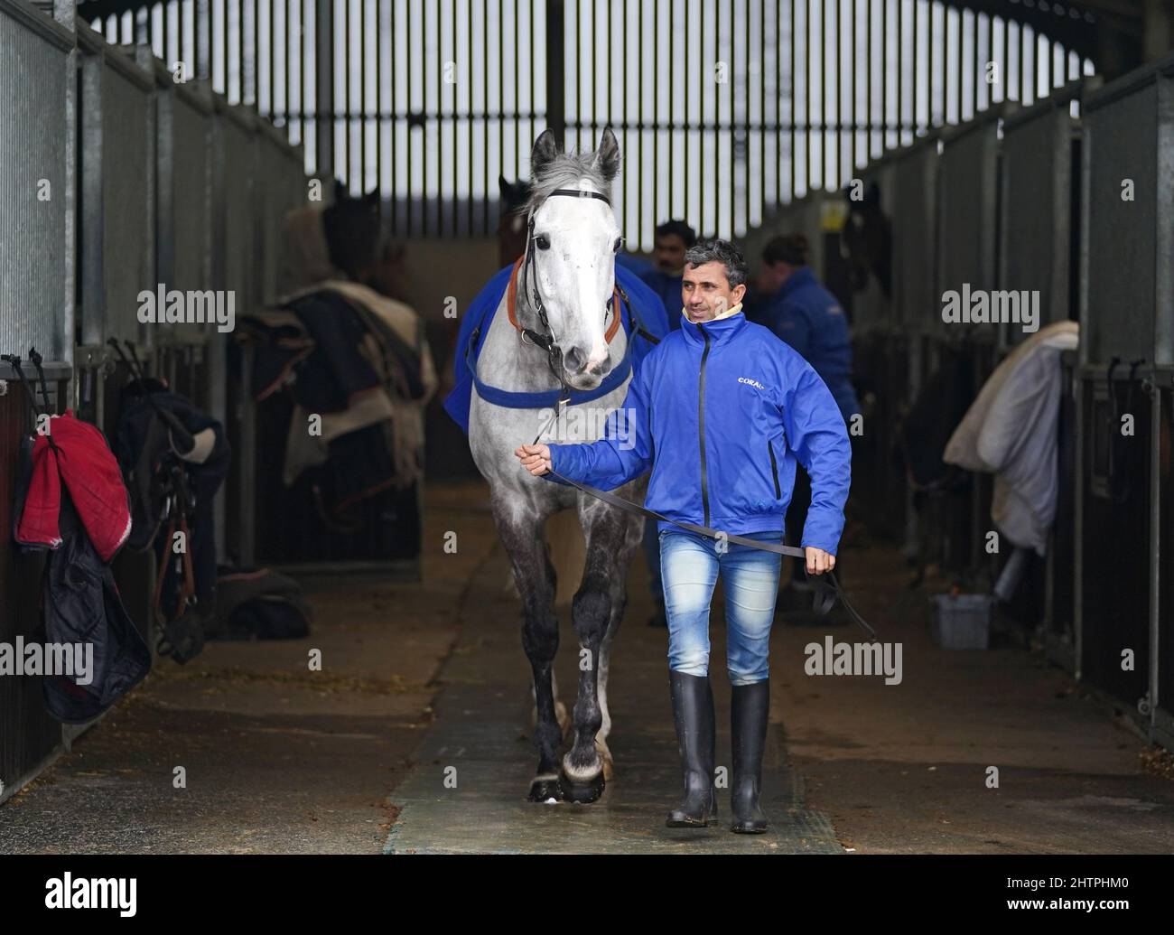 Horse Warlord during a visit to Colin Tizzard and Joe Tizzard's yard at ...