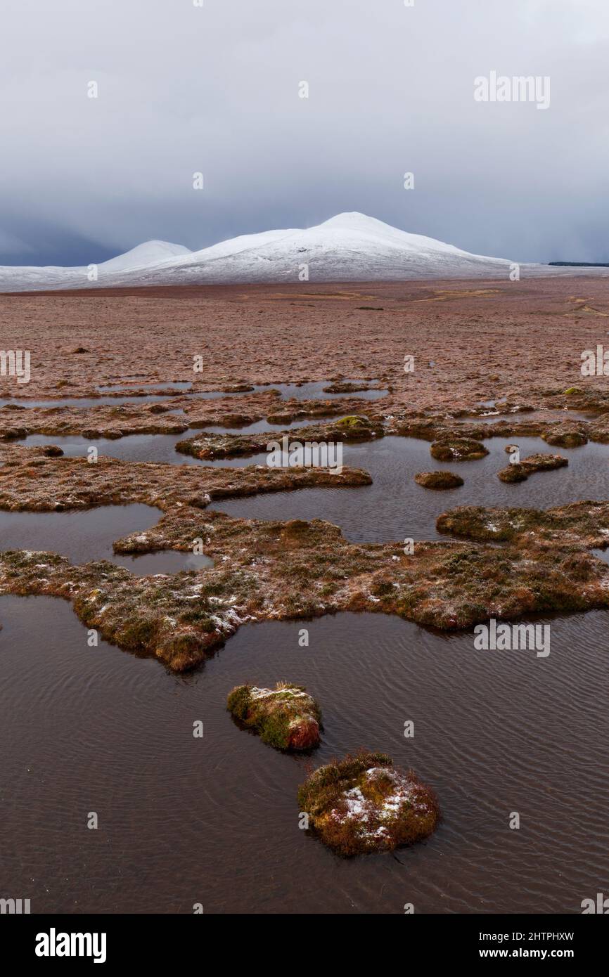 Flow country and forsinard hi-res stock photography and images - Alamy