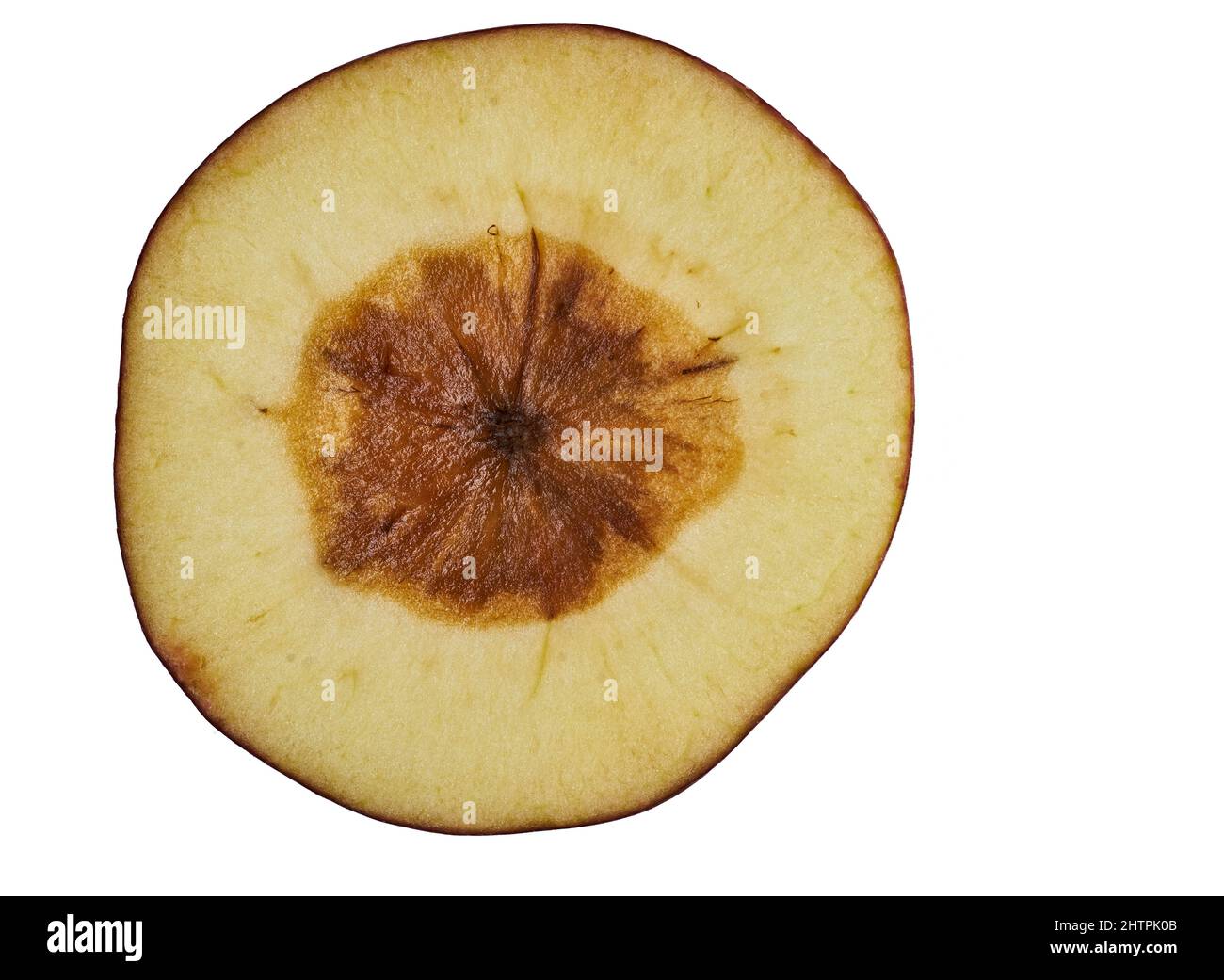 Apple with rotten core Cut Out Stock Images & Pictures - Alamy