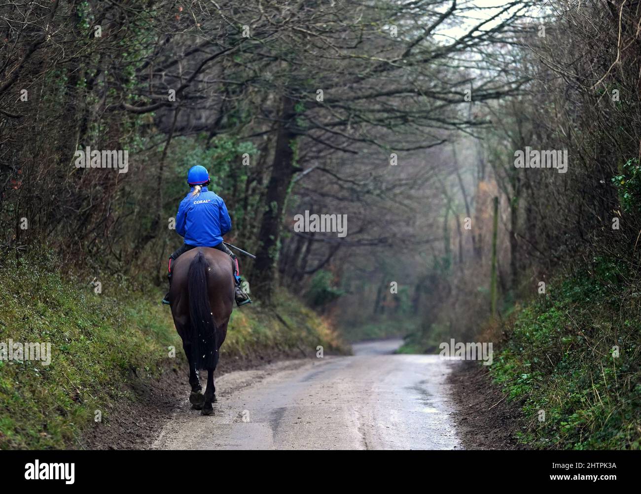 A horse makes its way to the gallops during a visit to Colin Tizzard ...